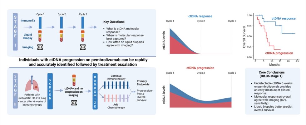 Bridging liquid biopsy discoveries with clinical cancer: Harnessing ...